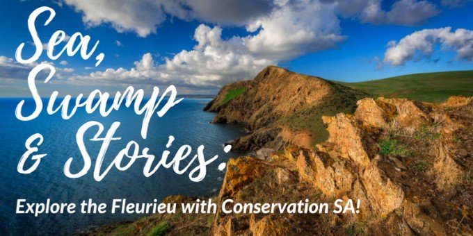 Sea Swamp Stories Tour | pureSA